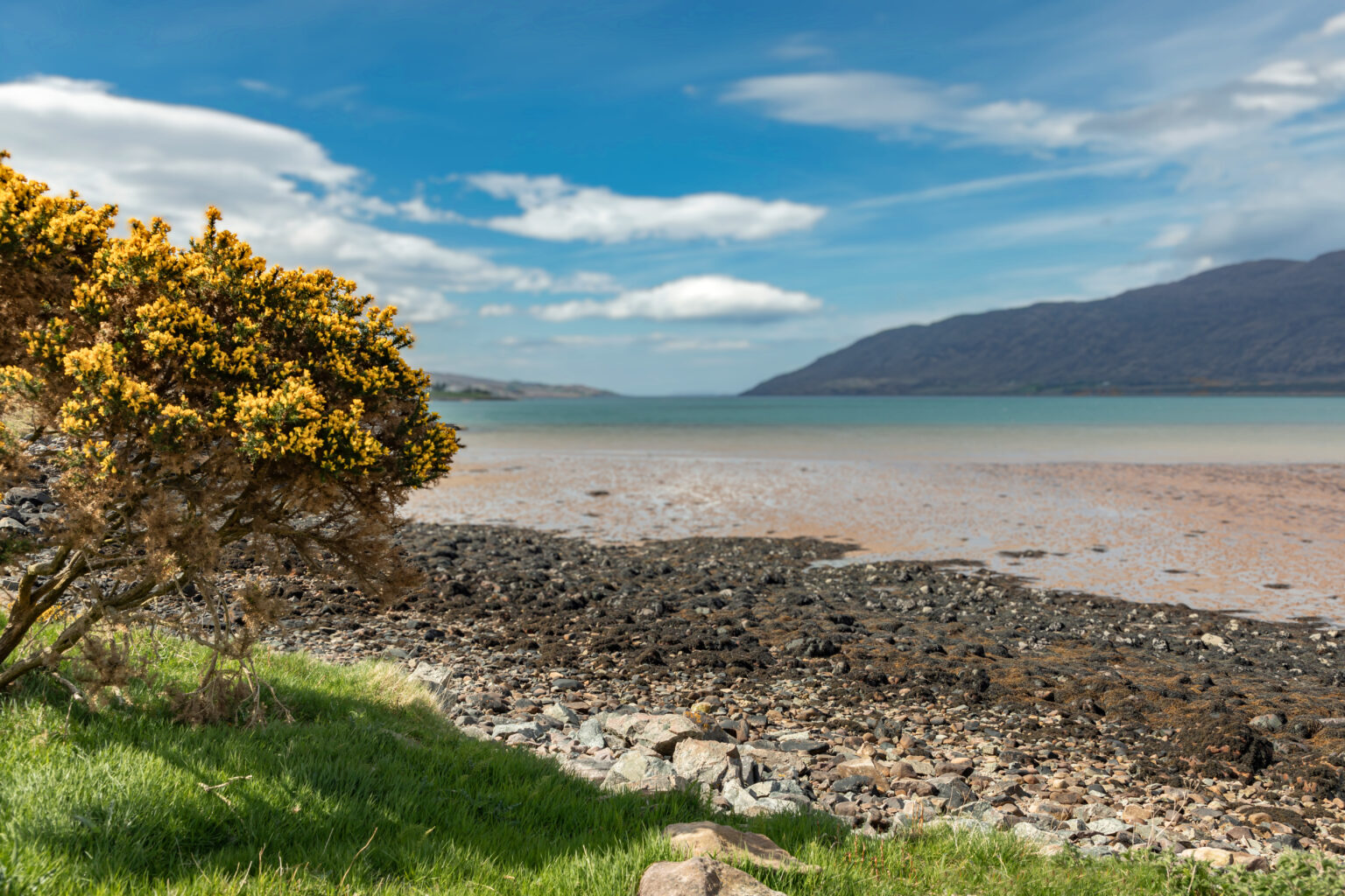 The Kilberry Inn | Restaurant & Rooms in Argyll, Scotland
